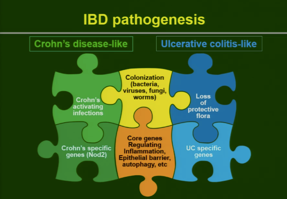Wake up Europe—it’s World IBD Day! | UEG - United European Gastroenterology