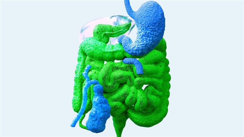 Inflammatory Bowel Disease | UEG - United European Gastroenterology